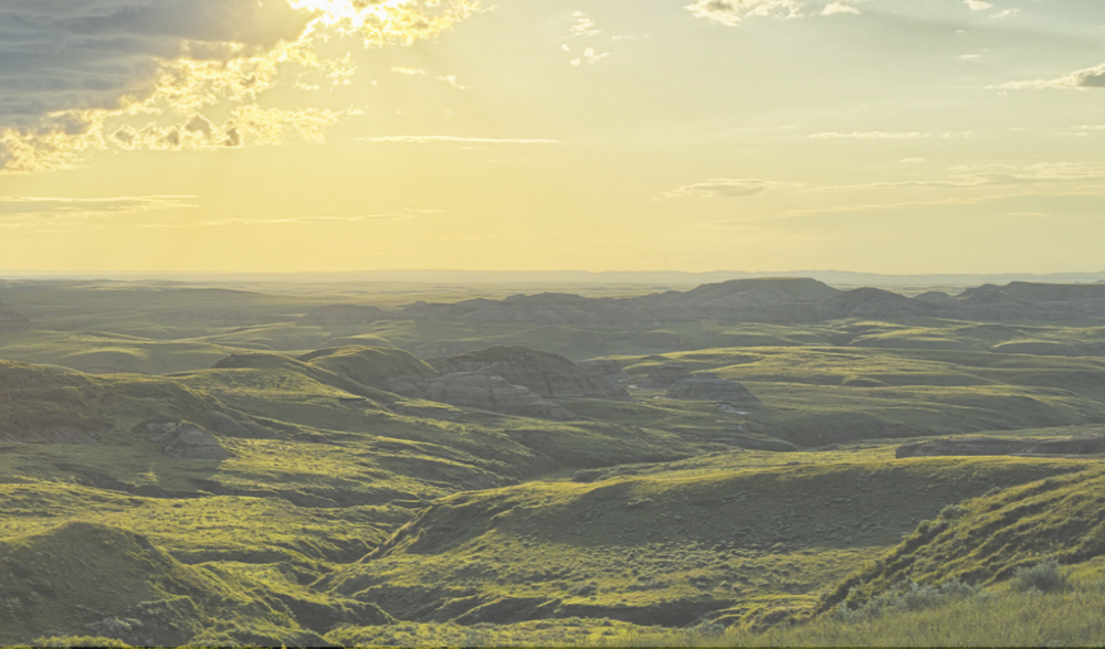 Registry Solutions | ISC